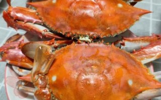 螃蟹要蒸多长时间最好_蒸螃蟹最佳时间是多少分钟