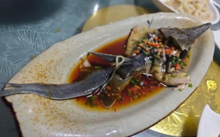 鲟鱼好吃吗_鲟鱼口感怎么样