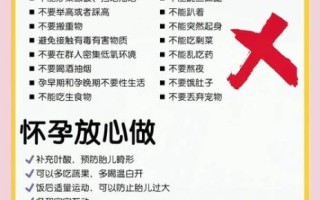 刚怀孕吃什么好_孕妇前三个月食谱