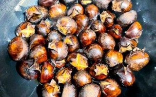 烤箱板栗的做法大全_烤箱烤板栗需要多长时间