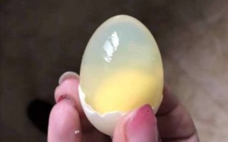 鸽子蛋小孩能吃吗_婴儿多大可以吃鸽子蛋