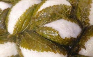 粘耗子怎么做_粘耗子为什么粘不住