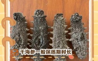 干海参能放多久_干海参保质期多久