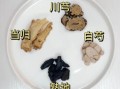 四物汤治疗闭经效果怎么样_闭经喝四物汤多久见效