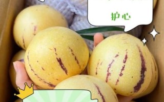 人参果的营养价值_孕妇能吃吗