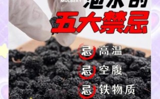 吃桑葚的好处与禁忌_哪些人不能吃