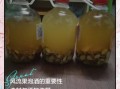 风流果泡酒的最佳配方_风流果泡酒的功效与禁忌