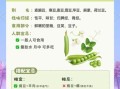 雪豆的功效与作用_雪豆的禁忌人群有哪些