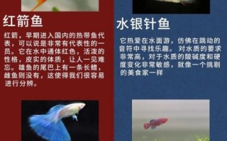 淡水观赏鱼有哪些_如何挑选热带鱼