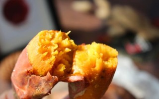 红薯图片大全大图_哪里找高清素材