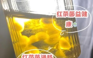 红茶菌致癌是真的吗_长期喝红茶菌会得癌症吗