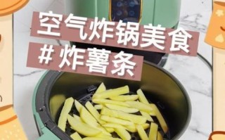 空气炸锅炸薯条怎么做_空气炸锅炸薯条温度时间