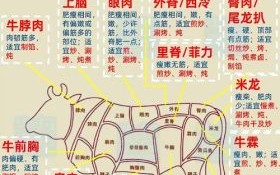 肥牛不包括牛的哪个部位_肥牛和牛腩区别在哪