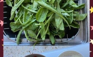 萝卜菜叶可以吃吗_萝卜菜叶怎么做好吃