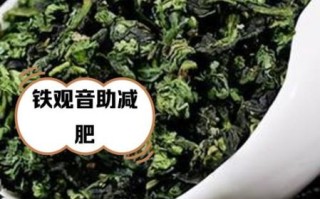 铁观音能减肥吗_铁观音的功效与作用