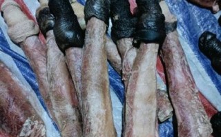 驴鞭多少钱一斤_驴鞭价格行情