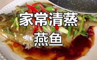 海燕鱼怎么做好吃_海燕鱼的营养价值