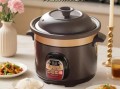 紫砂电炖锅怎么用_紫砂电炖锅第一次使用要注意什么