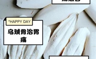 乌贼骨哪些人不能吃_乌贼骨与什么相克