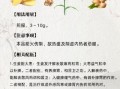 生姜的功效与作用是什么_生姜怎么吃最健康