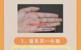 过度手浮是肾阴虚还是阳虚_如何辨别与调理