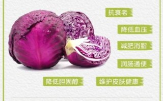 紫甘蓝的营养价值_紫甘蓝可以生吃吗