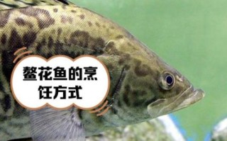 红烧鳌花鱼怎么做_鳌花鱼去腥技巧