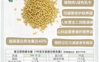 黄豆蛋白质含量多少_黄豆营养价值高吗