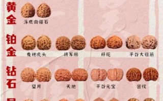 文玩核桃哪个品种好_十大排行榜怎么选