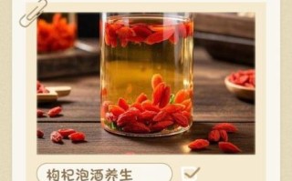 枸杞酒什么人不能喝_枸杞酒一天喝多少合适