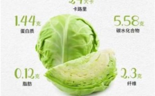 卷心菜的功效与副作用_哪些人不能吃卷心菜