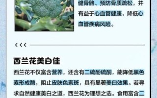 西兰花营养成分有哪些_西兰花营养价值高吗