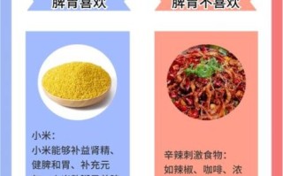 胃不好吃什么养胃_胃不好怎么调理最有效