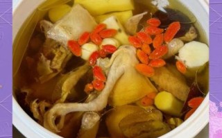 鸽子炖什么补脾胃虚_鸽子汤怎么炖最养胃