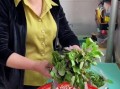 灰灰菜怎么吃好吃_灰灰菜做法大全