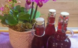 自制葡萄汁怎么做_自制葡萄汁需要去皮吗