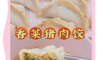 香菜和什么包饺子好吃_最佳搭配推荐