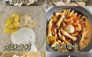 卤鸡爪配料有哪些_家庭版卤鸡爪怎么做