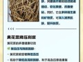 黄花菜有什么营养价值_黄花菜的功效与作用