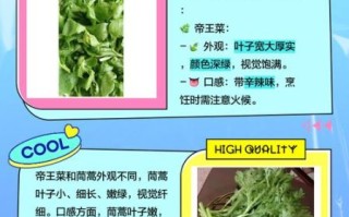 茼蒿菜和皇帝菜一样吗_区别与营养价值对比