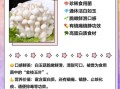 白菇的功效与作用_白菇怎么做好吃