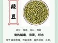 绿豆芽怎么发最快_绿豆芽的营养价值有哪些