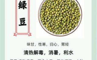 绿豆芽怎么发最快_绿豆芽的营养价值有哪些