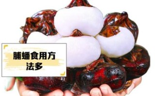 马蹄果怎么吃最好_马蹄果的吃法与禁忌