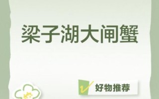 梁子湖大闸蟹多少钱一斤_梁子湖大闸蟹价格表2024