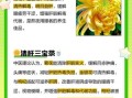 菊花金银花枸杞茶的功效与作用_适合什么人喝