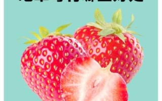 草莓的营养价值有哪些_吃草莓有什么好处