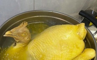 正宗白切鸡怎么做_白切鸡煮几分钟才嫩