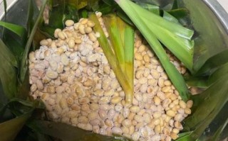 水豆豉的制作方法_家庭自制水豆豉怎么做