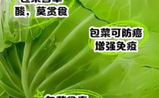 长期吃包菜的害处_包菜吃多了会伤胃吗